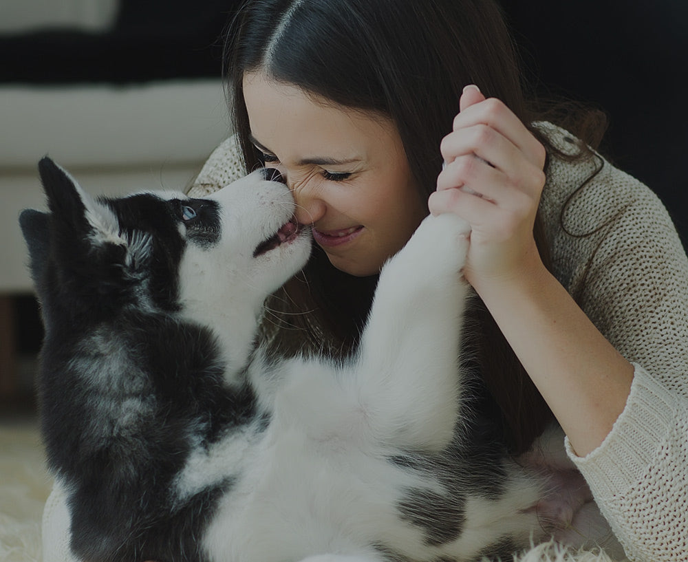 100% Natural - Open Range Pet Treats