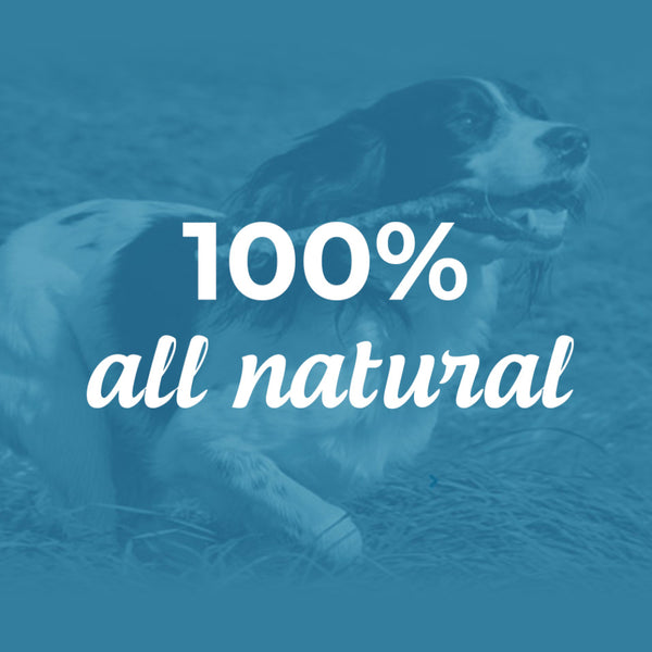 Beef Dog Treats - Open Range Pet Treats